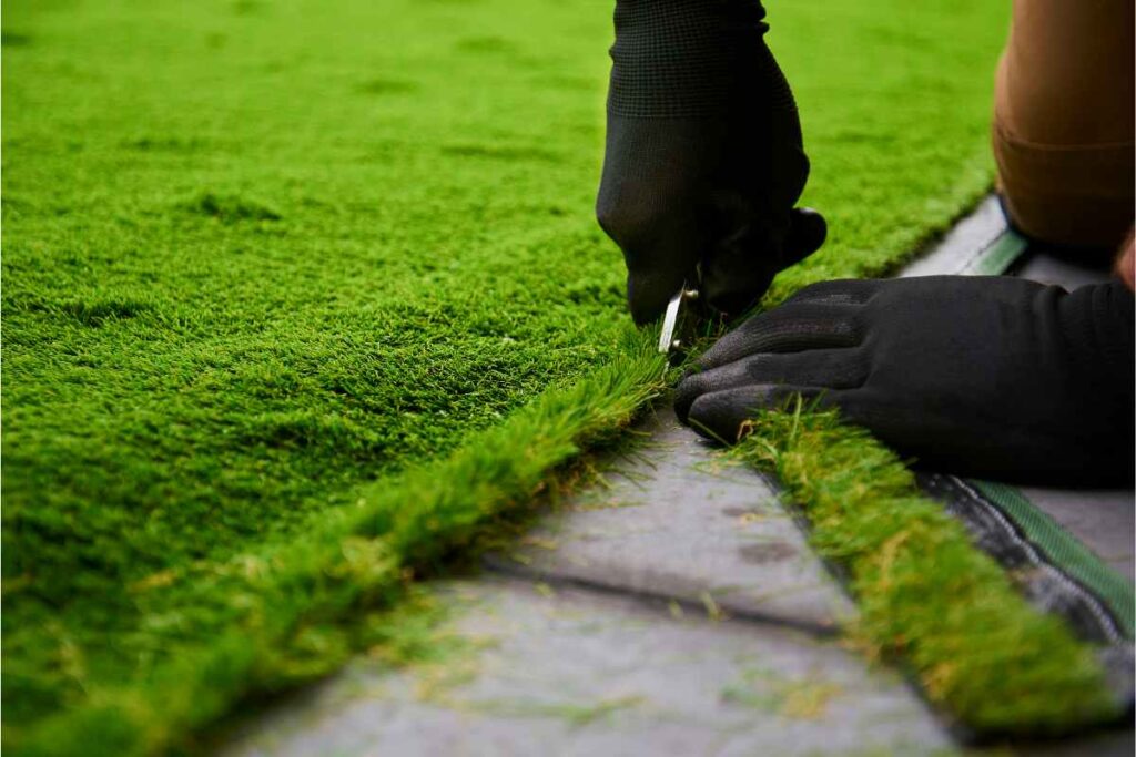What Is Grass Paint? How to Paint Your Lawn Green